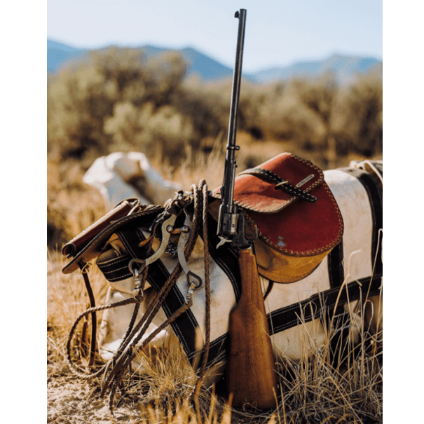 Rough Rider 22LR/22WMR (Heritage Arms) – Ammo Direct